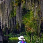 Wekiva River Guided Kayak Tour - Final Thoughts: Is It For You?