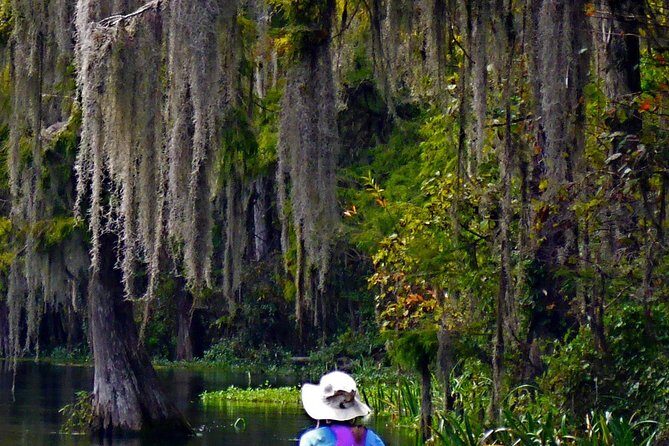 Wekiva River Guided Kayak Tour - Final Thoughts: Is It For You?