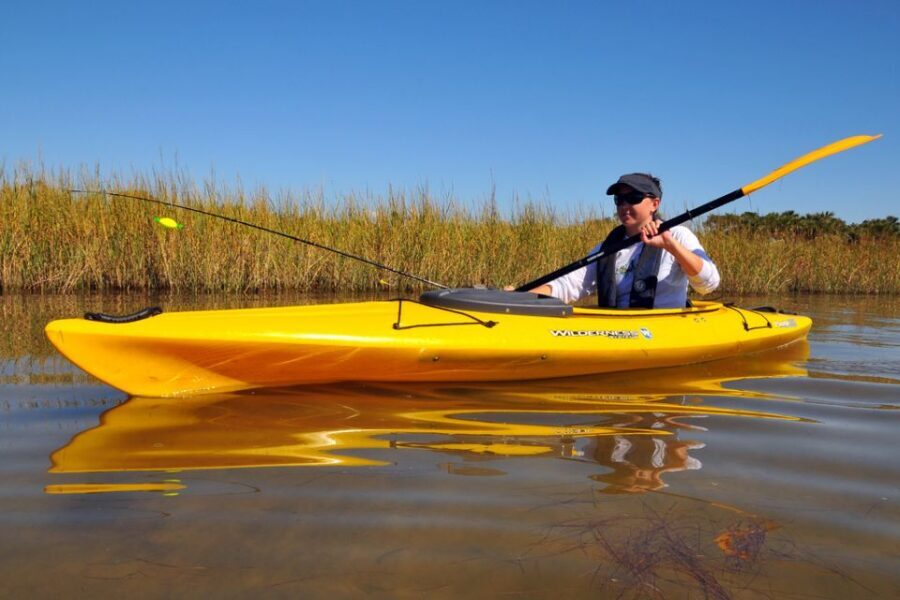 Wekiva River Kayak Full-Day Trip - Who Will Love This Trip?
