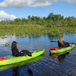Wekiva Wildlife kayaking Adventure Tour - Key Points