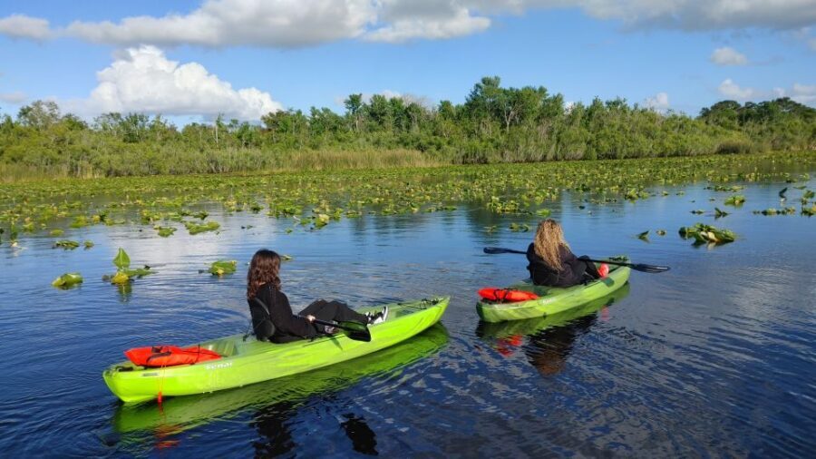 Wekiva Wildlife kayaking Adventure Tour - Key Points