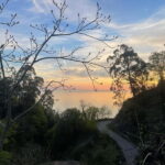 welcome to georgia discover together - Why This Tour Works for You