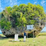 West Coast Scenic Tour - What to Keep in Mind
