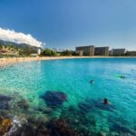 West Maui Half Day Snorkel from Kaanapali Beach - Snorkeling Experience: Marine Life & Environment