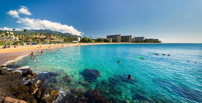West Maui Half Day Snorkel from Kaanapali Beach - Snorkeling Experience: Marine Life & Environment