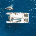 West Maui Snorkel & Sail from Ma'alaea Harbor - Detailed Breakdown of the Itinerary