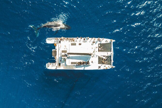 West Maui Snorkel & Sail from Ma'alaea Harbor - Detailed Breakdown of the Itinerary