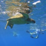 West Maui Snorkeling Experience by Boat from Ka'anapali - Price and Value: Is it Worth It?