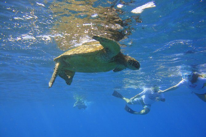 West Maui Snorkeling Experience by Boat from Ka'anapali - Price and Value: Is it Worth It?