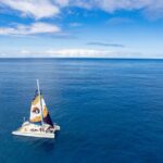 West Oahu Green Sea Turtle and Dolphin Snorkel Sail with Lunch - Who Will Love This Tour?
