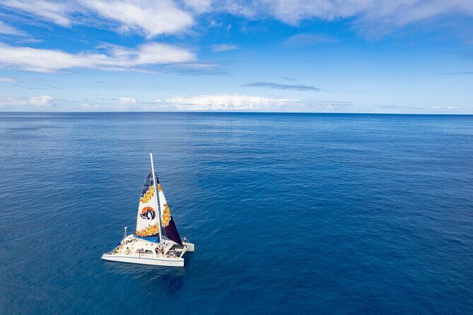 West Oahu Green Sea Turtle and Dolphin Snorkel Sail with Lunch - Who Will Love This Tour?