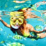 West Oahu: Turtles, Dolphins, and Snorkeling Tour with Lunch - How Does It Compare in Value?