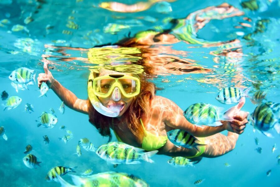West Oahu: Turtles, Dolphins, and Snorkeling Tour with Lunch - How Does It Compare in Value?