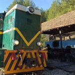 West of Belgrade: Woodentown, argan 8 train & Drina River - Authentic Serbian Food & Hospitality