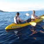 West Side Discovery Kayak & Snorkel Tour - Who Should Consider This Tour?