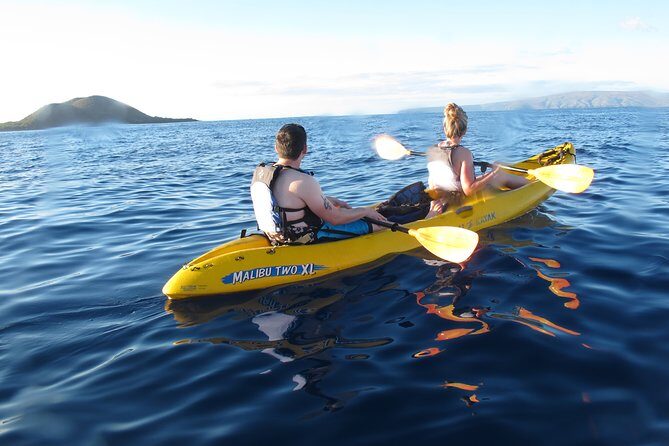 West Side Discovery Kayak & Snorkel Tour - Who Should Consider This Tour?