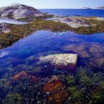 West Sweden: Self Guided Kayak Tour - Southern Route - What This Tour Offers: A Deep Dive