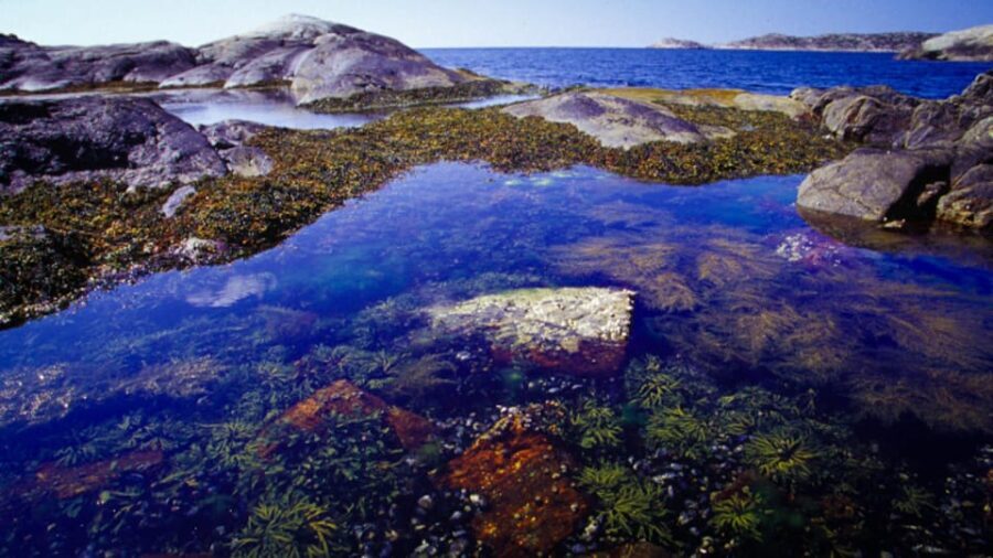 West Sweden: Self Guided Kayak Tour - Southern Route - What This Tour Offers: A Deep Dive