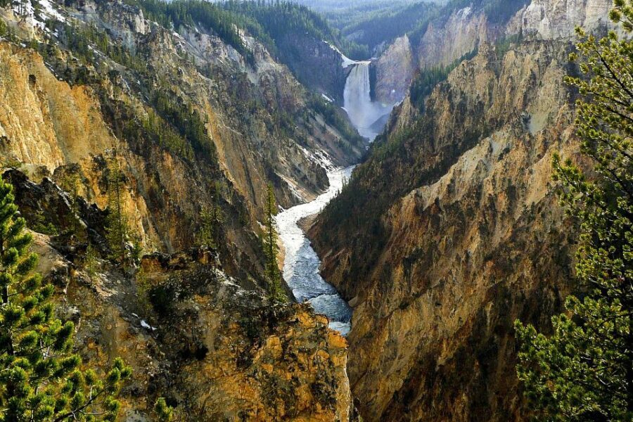 West Yellowstone: Yellowstone Day Tour Including Entry Fee - What Makes This Tour Stand Out?