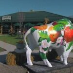 Western New York Beer Trail Pass - Authentic Tips from Reviews