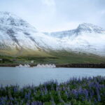 Westfjords Express Tour of Fishing Villages from Ísafjörður - Exploring the Westfjords in a Nutshell