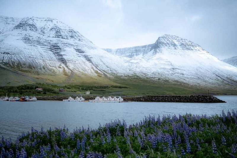 Westfjords Express Tour of Fishing Villages from Ísafjörður - Exploring the Westfjords in a Nutshell
