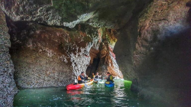 Wexford: Hell Hole & Back Sea Cave Kayaking - Introduction to the Experience