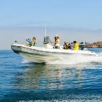 Whale and Dolphin Watching in San Diego - How the Guides Make a Difference