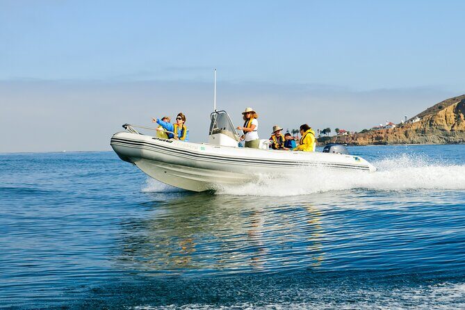 Whale and Dolphin Watching in San Diego - How the Guides Make a Difference