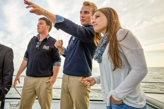 Whale and Wildlife Yacht Cruise in Santa Barbara - Detailed Breakdown of the Itinerary