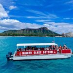 Whale Watch, Dolphins, Turtles and Sightseeing Cruise - Who Should Consider This Tour?