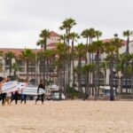 Whale-Watching and Orange County Beaches Tour from Anaheim - Transportation and Timing: Why It Matters