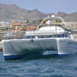Whale Watching Catamaran Cruise with Transfer, Buffet by MC - What Makes This Tour Stand Out?