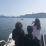 Whale Watching Charters and Bear search through Icy Strat Alaska - The Review Highlights from Real Travelers