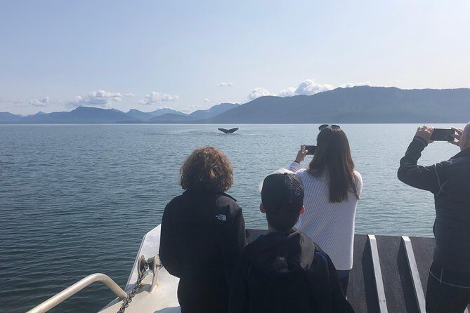 Whale Watching Charters and Bear search through Icy Strat Alaska - The Review Highlights from Real Travelers