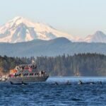 Whale Watching + Deception Pass Tour from Seattle - Deception Pass: The Scenic First Stop