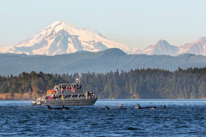 Whale Watching + Deception Pass Tour from Seattle - Deception Pass: The Scenic First Stop