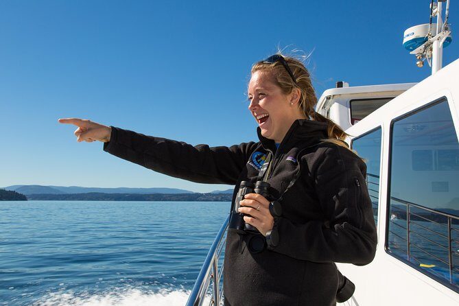 Whale Watching from Friday Harbor - The Scenic Voyage