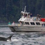 Whale Watching Tour from Anacortes - Wildlife Guarantee and Peak Season