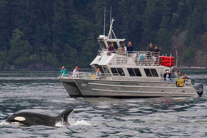 Whale Watching Tour from Anacortes - Wildlife Guarantee and Peak Season