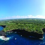 Whale Watching Tour: Whales Guaranteed in Kona Waikoloa - Real Experiences and Honest Feedback
