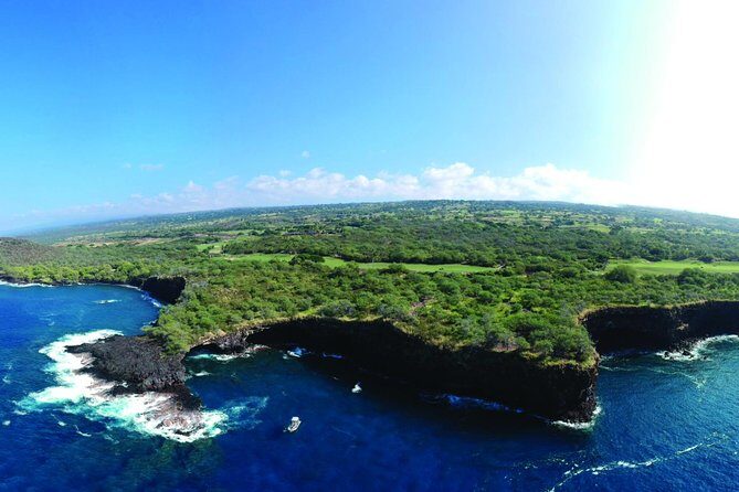 Whale Watching Tour: Whales Guaranteed in Kona Waikoloa - Real Experiences and Honest Feedback
