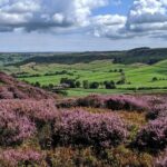 Whitby, Robin Hood's Bay and the Moors from York - Robin Hood’s Bay and Goathland