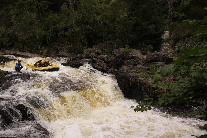 White Water Rafting and River Bugs on the River Tummel - Pricing and Value