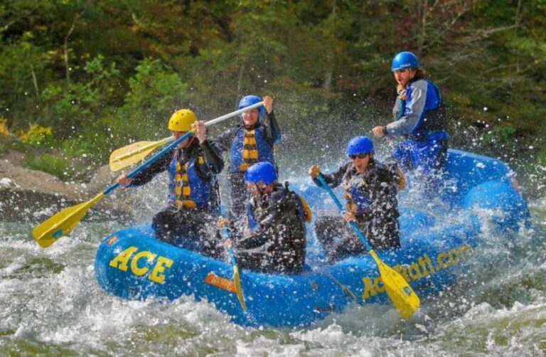 Whitewater Rafting on the Fall Lower Gauley - Saturday - The Experience and Its Value