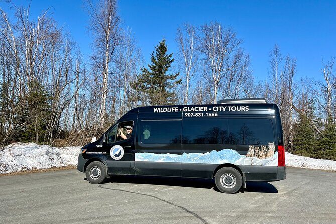 Whittier to Anchorage Half Day Transit Tour From the Port - Final Thoughts: Who Is This Tour Best Suited For?