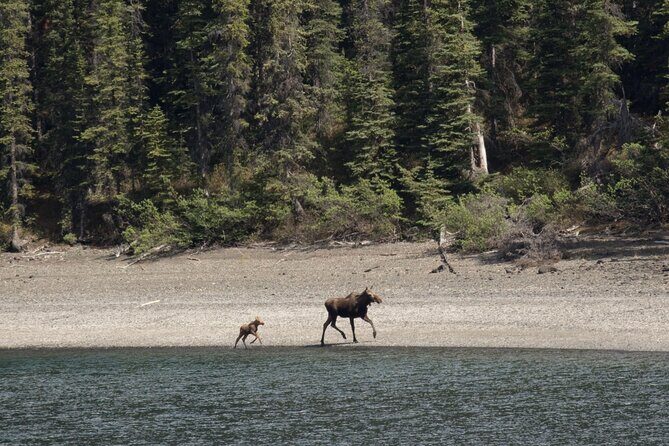 Wild Adventure Yukon Tour into Canada including City and Summit - Klondike Gold Rush National Historical Park Visitor Center