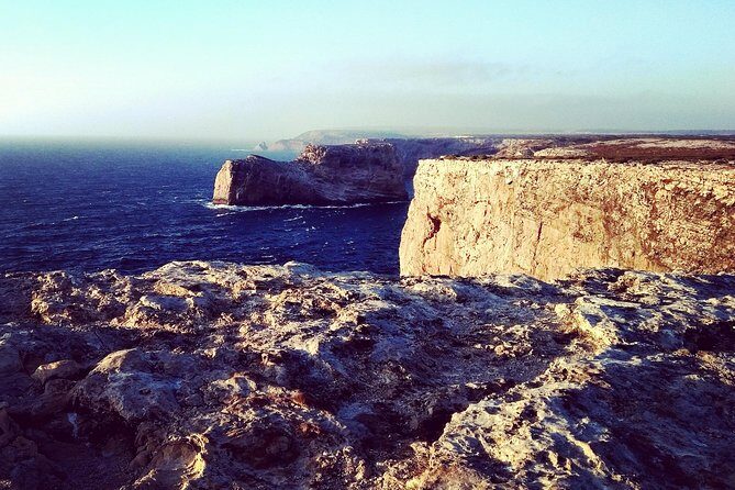 Wild and Wonderful West Coast Full Day Tour - A Deep Dive into the Itinerary