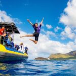 Wild Dolphin Watching and Snorkel Safari Off West Coast of Oahu - What Makes This Tour Special? The Small Boat, the Guides, and the Wildlife