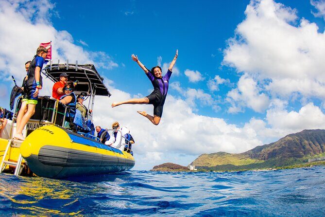 Wild Dolphin Watching and Snorkel Safari Off West Coast of Oahu - What Makes This Tour Special? The Small Boat, the Guides, and the Wildlife